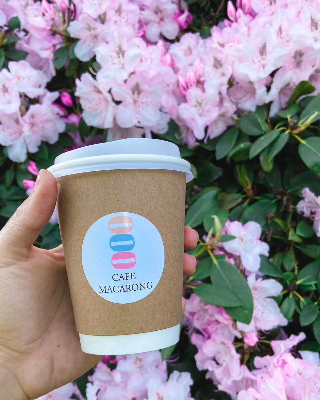 CONTACT – Café Macarong